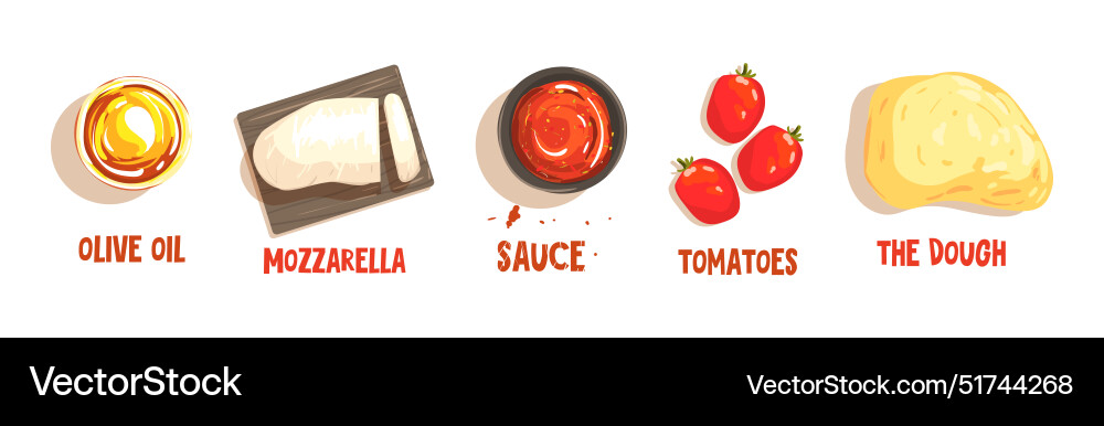 Pizza ingredient and food component for cooking Vector Image