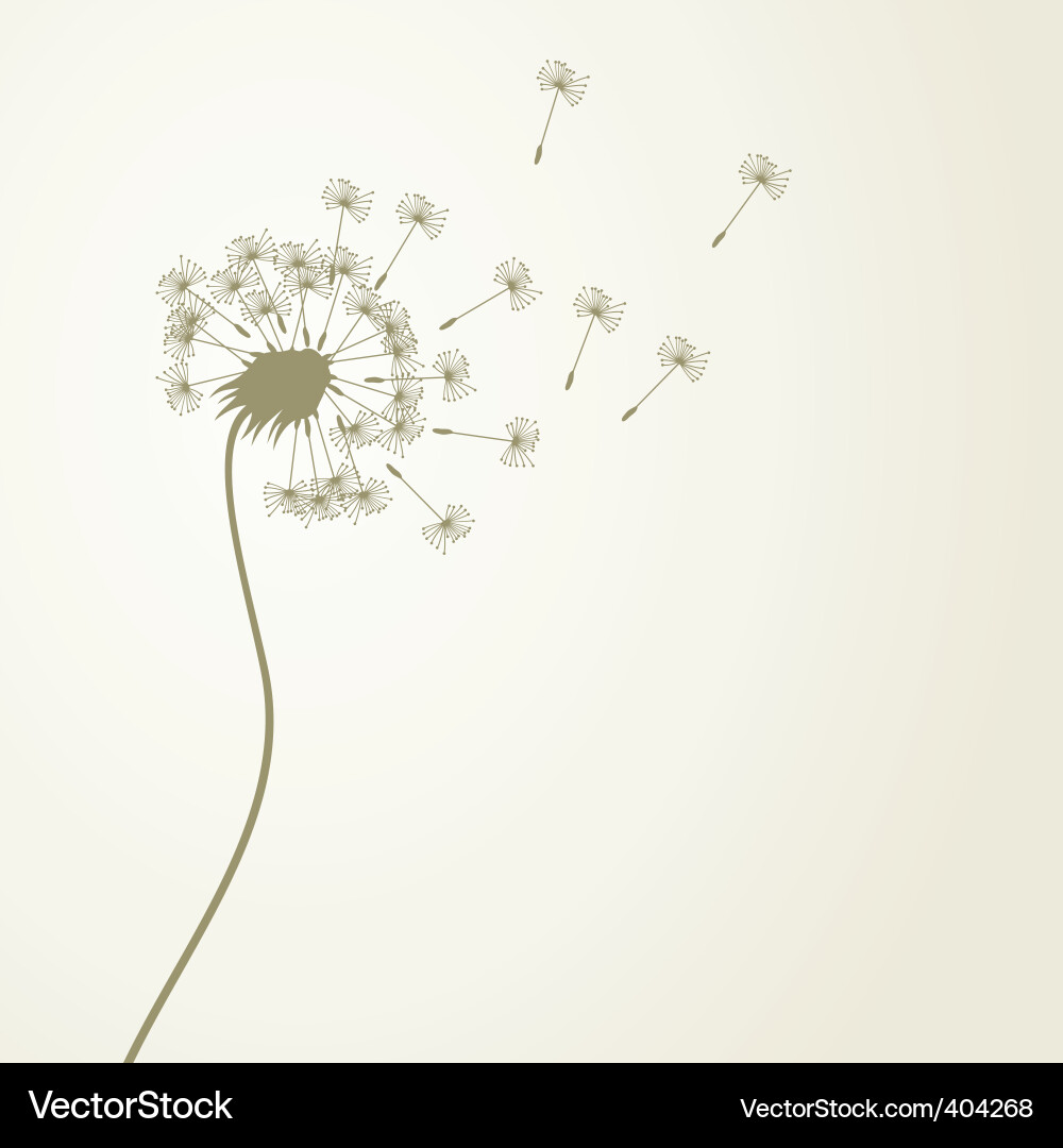 Single Dandelion Royalty Free Vector Image - VectorStock