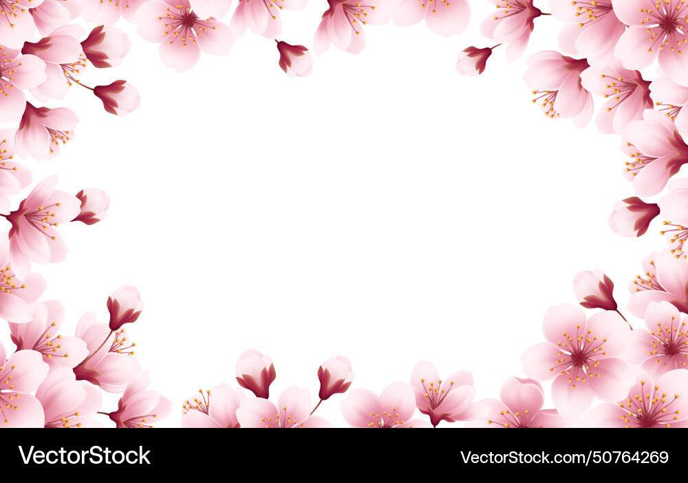 Floral spring cherry flowers blossom border Vector Image
