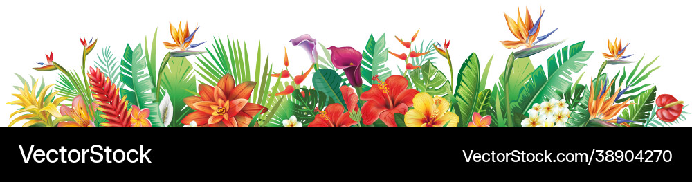 Border with tropical plants and flowers Royalty Free Vector
