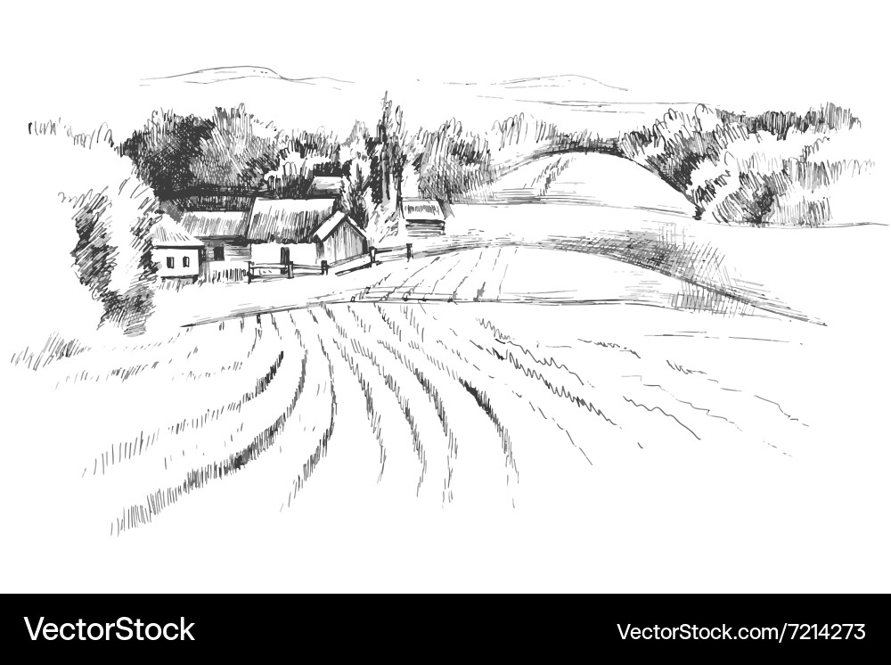 Hand drawn landscape with fields Royalty Free Vector Image