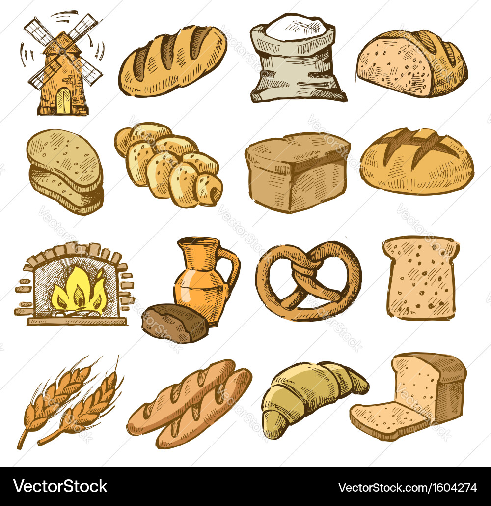 Hand drawn bread Royalty Free Vector Image - VectorStock