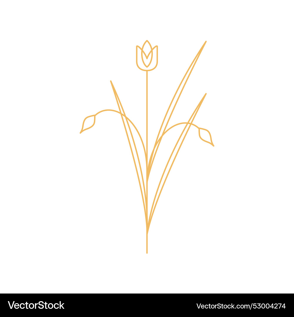 Paddy agriculture plant line logo design Vector Image