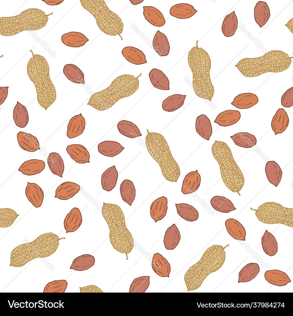 Seamless pattern with peanut Royalty Free Vector Image
