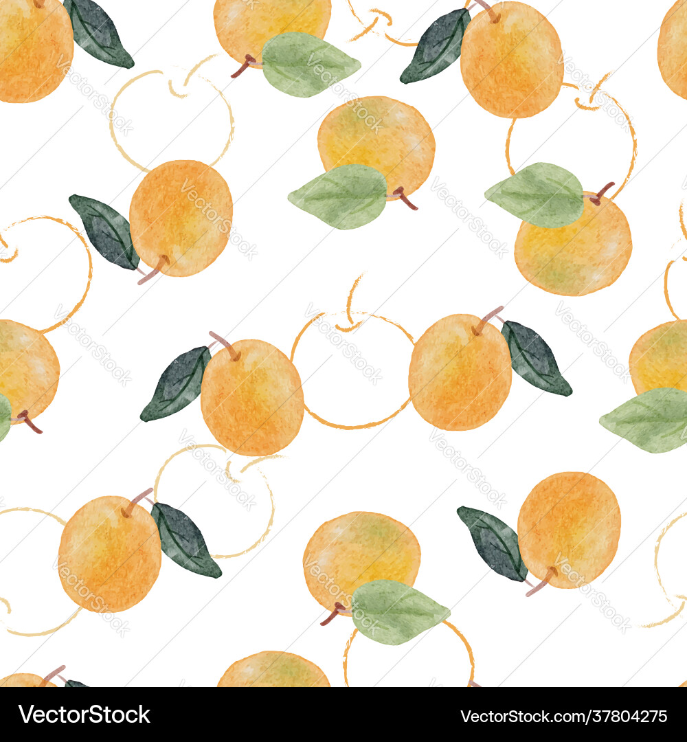Watercolor Orange Fruit Pattern Royalty Free Vector Image