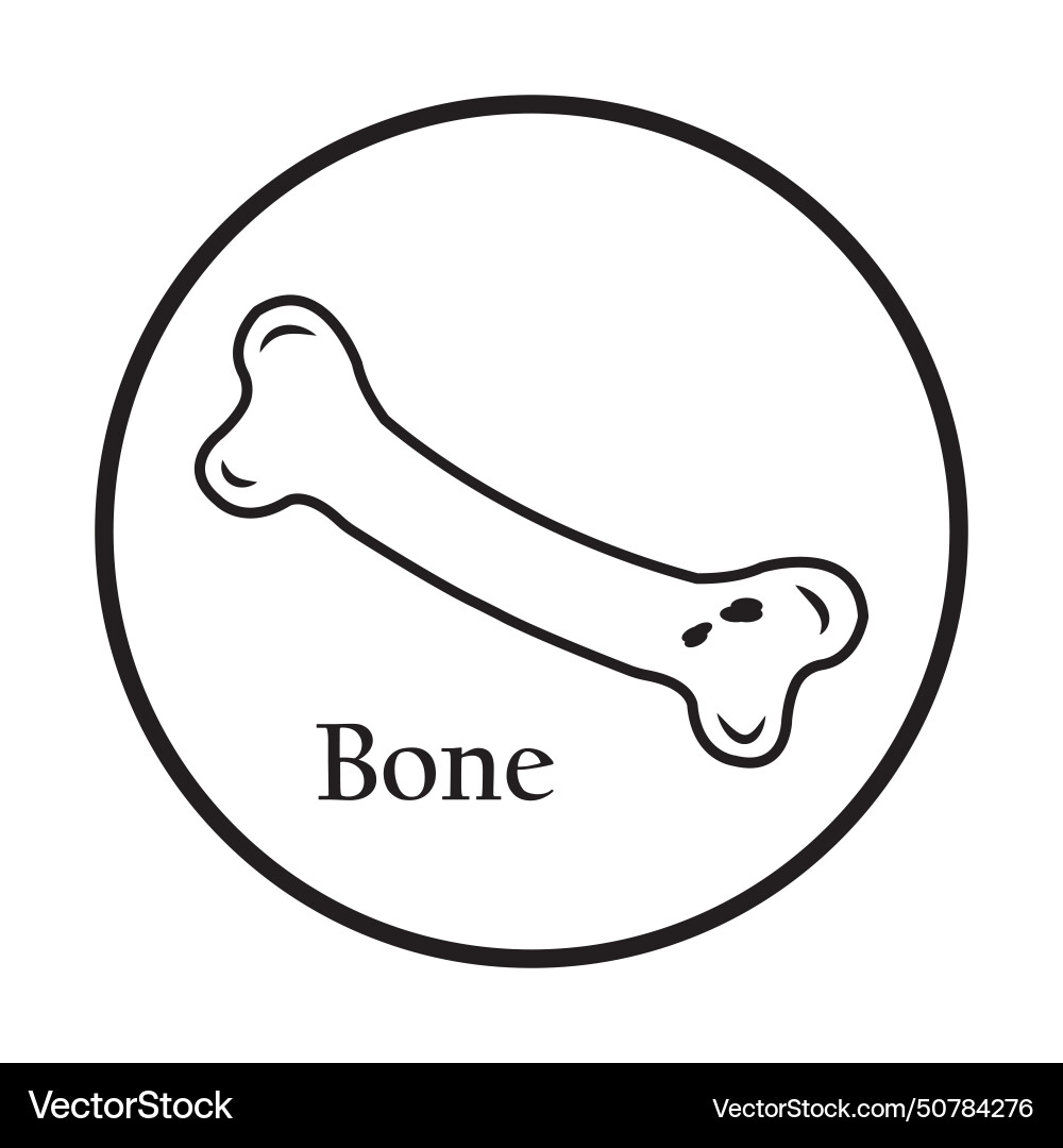 Bone icon Royalty Free Vector Image - VectorStock
