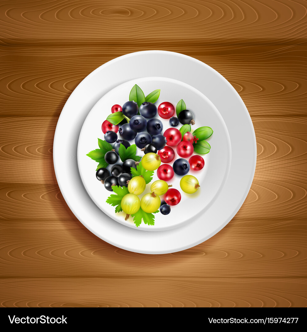 Berry plate realistic Royalty Free Vector Image