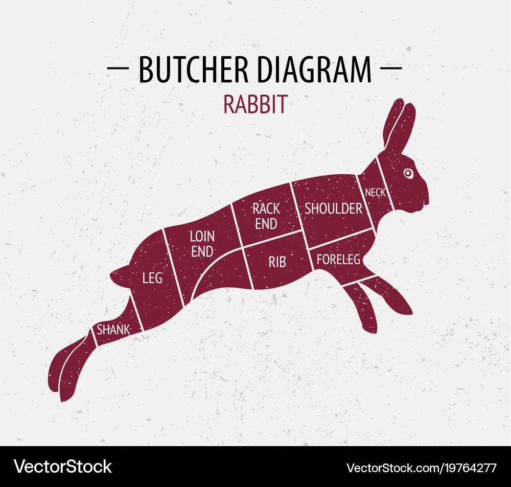 Cut of rabbit Royalty Free Vector Image - VectorStock