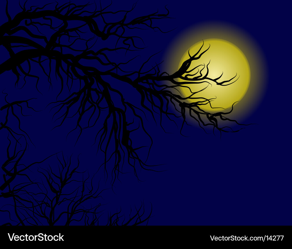 Full moon Royalty Free Vector Image - VectorStock
