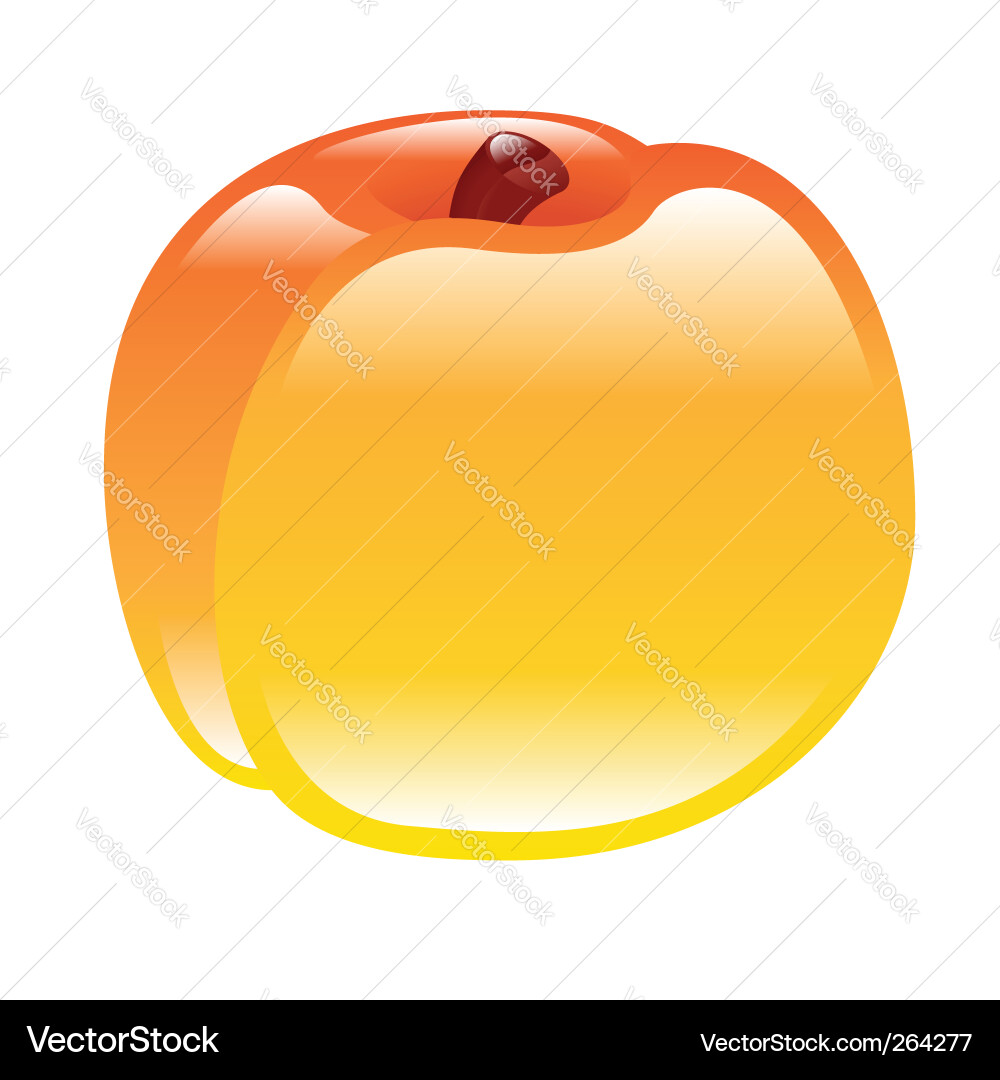 Peach Royalty Free Vector Image - VectorStock