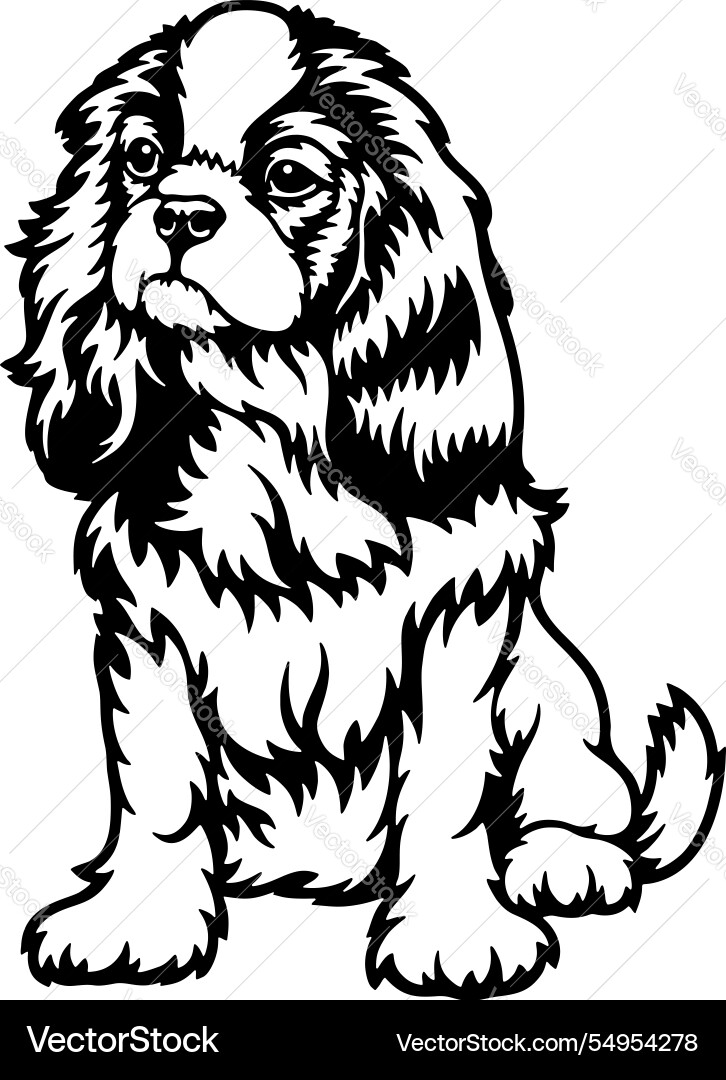 Spaniel dog breed - pet cut file Royalty Free Vector Image