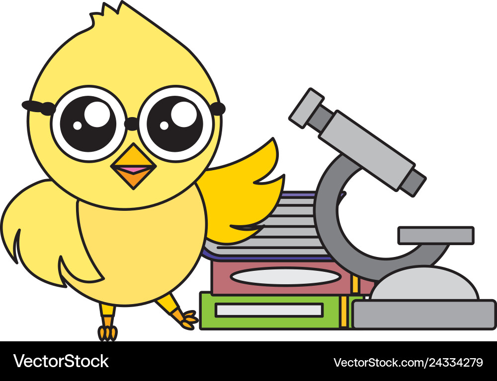 Cute chick science Royalty Free Vector Image - VectorStock