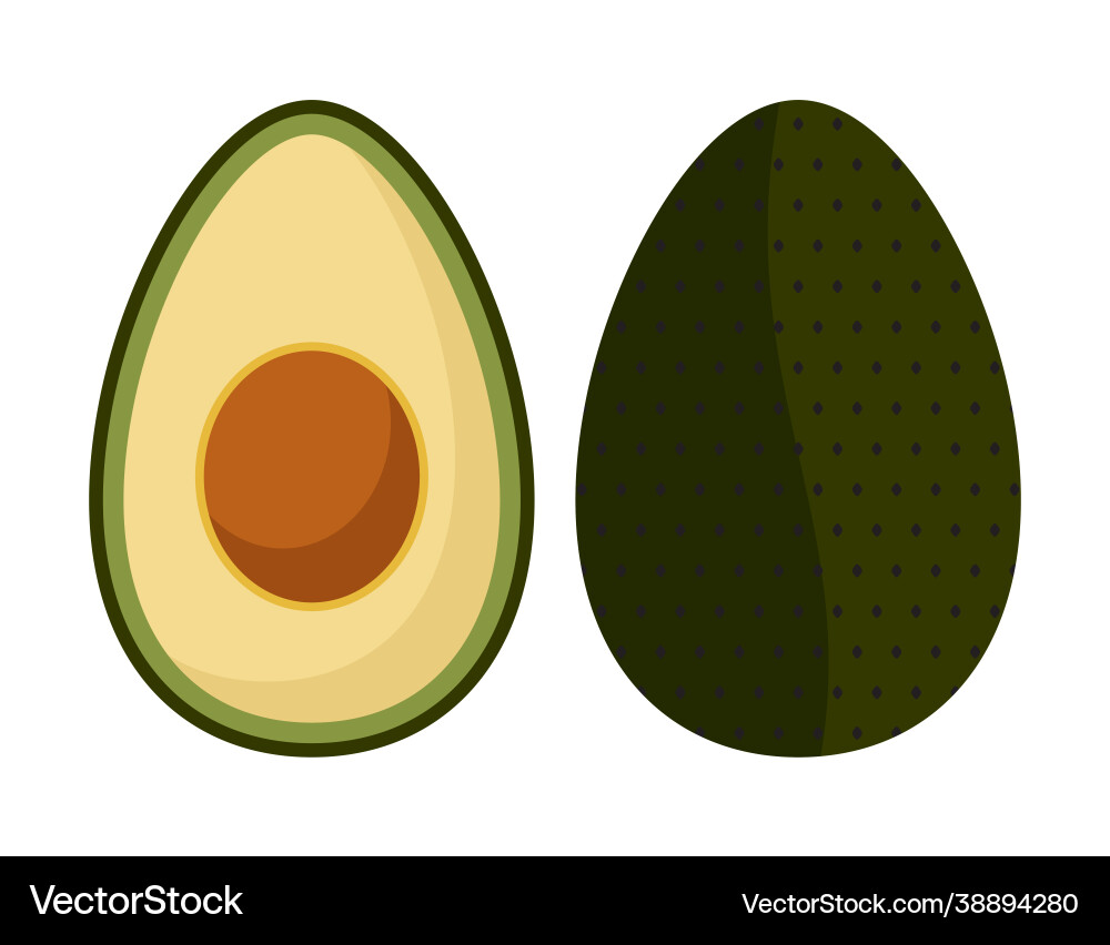 Avocado Royalty Free Vector Image - VectorStock