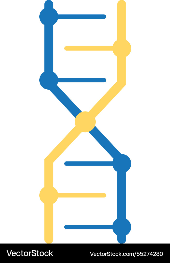 Dna double helix is rotating forming the genetic Vector Image