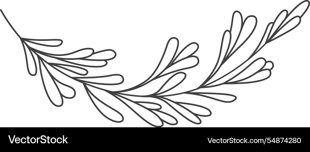 Lined leaves branch Royalty Free Vector Image - VectorStock