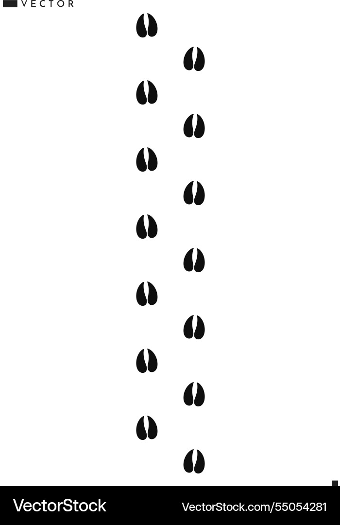 Cow footprint Royalty Free Vector Image - VectorStock