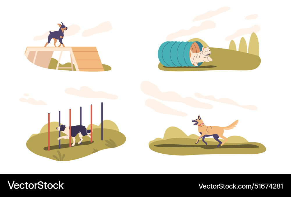 Dogs undergoing training in a yard featuring Vector Image