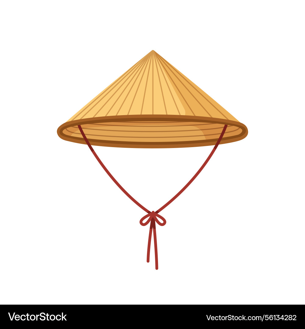 Asian rice hat conical vietnamese and chinese Vector Image