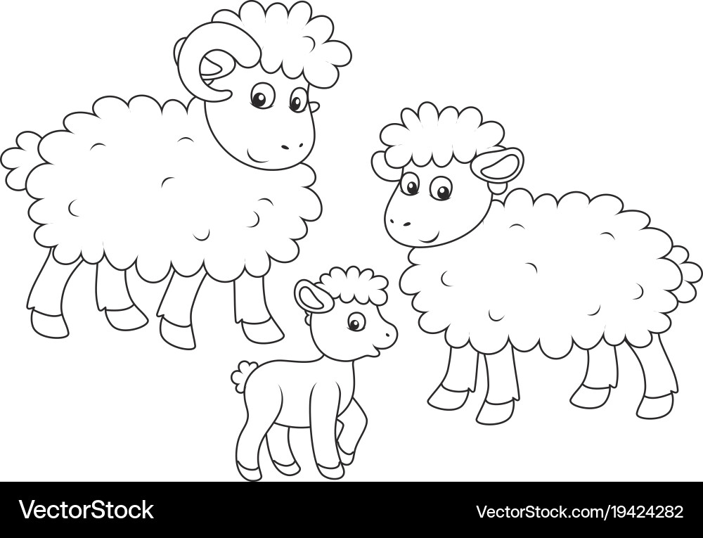 Sheep lamb and ram Royalty Free Vector Image - VectorStock