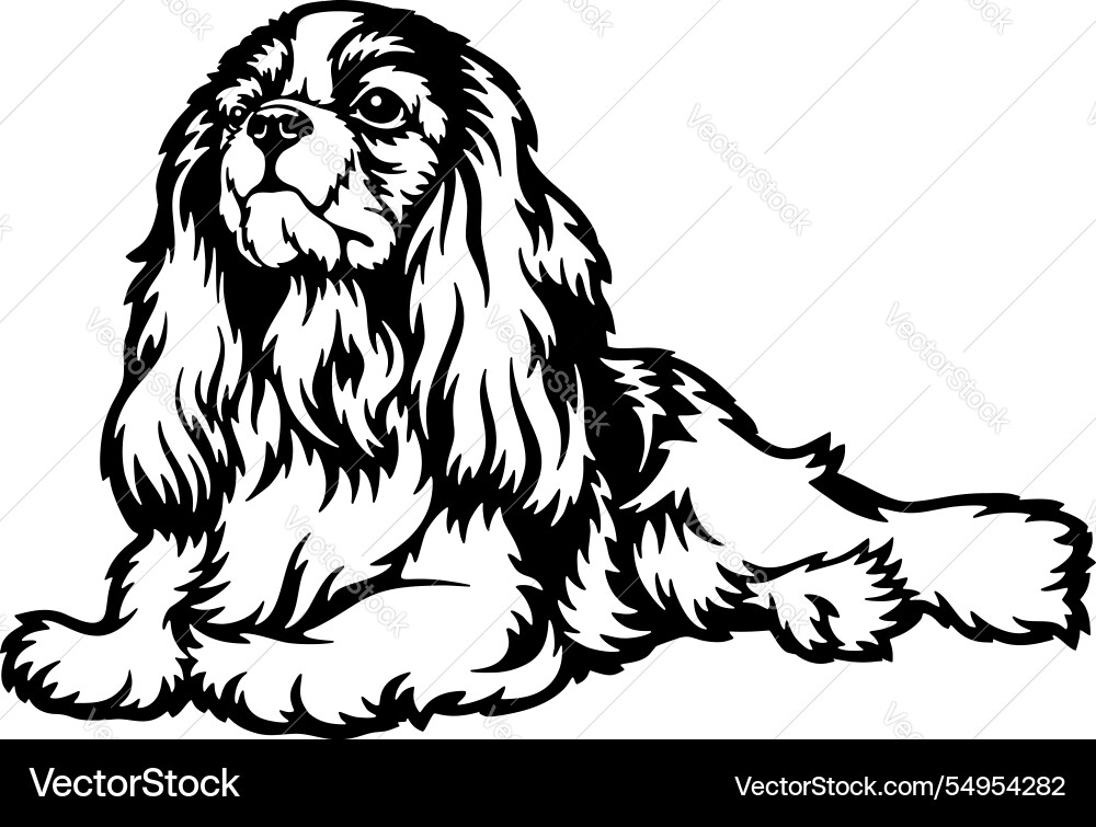 Spaniel dog breed - pet cut file Royalty Free Vector Image