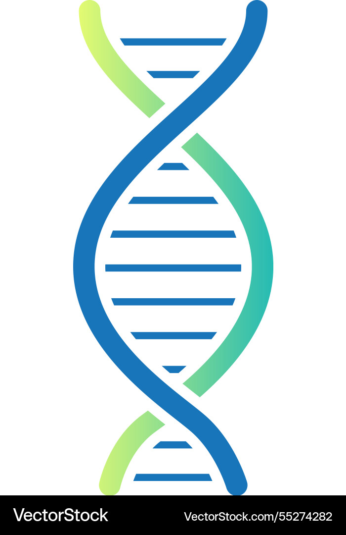 Stylized representation of a dna double helix Vector Image