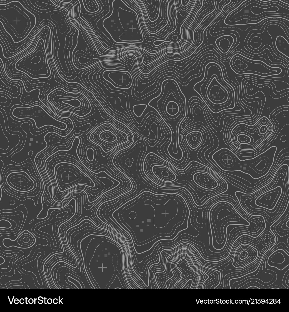 Seamless topographic map contour background topo Vector Image