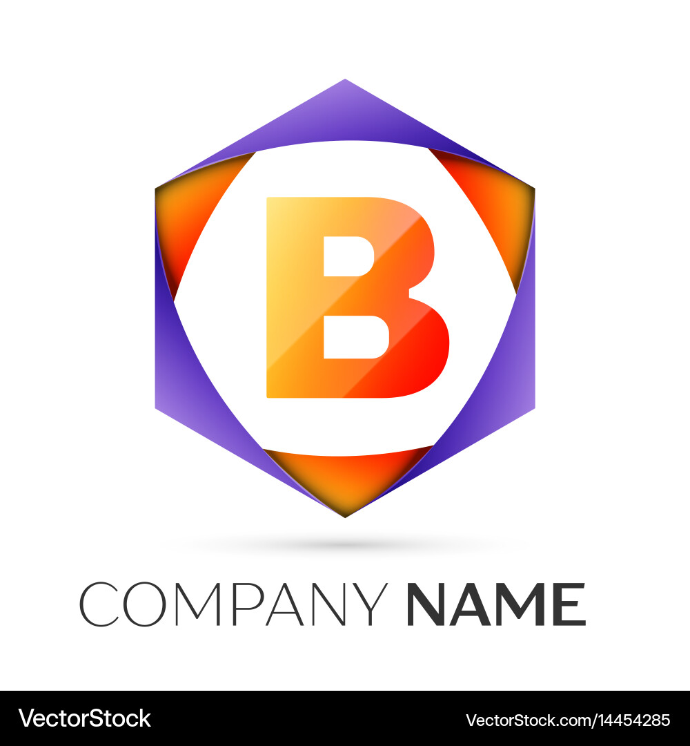 Letter b symbol in the colorful hexagonal Vector Image