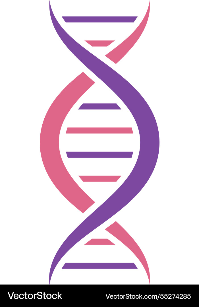 Pink and purple stylized dna double helix rotating