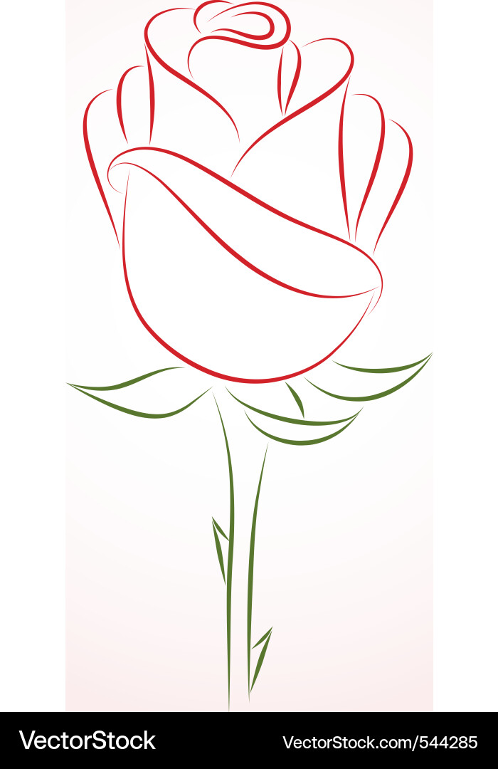 Rose Royalty Free Vector Image - VectorStock