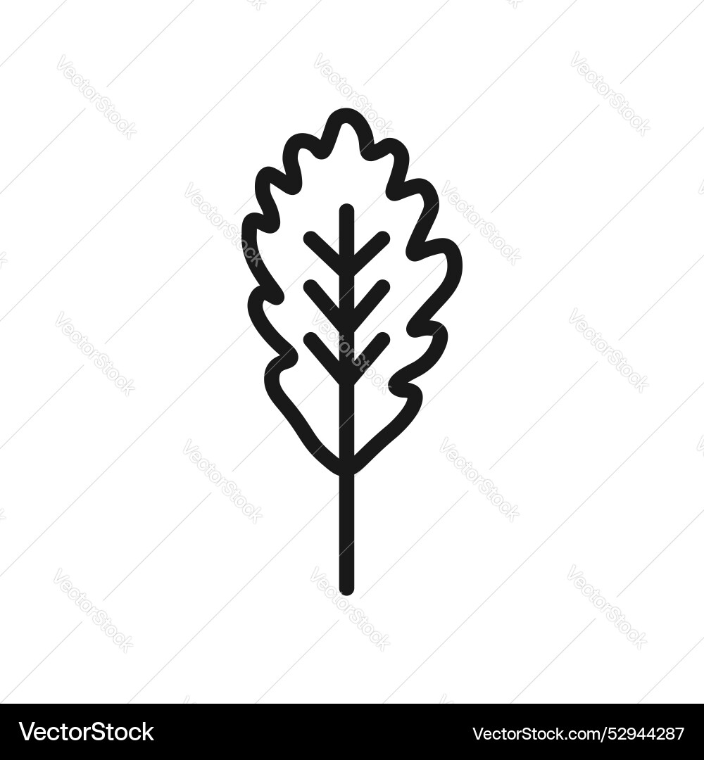 Oak leaf icon Royalty Free Vector Image - VectorStock