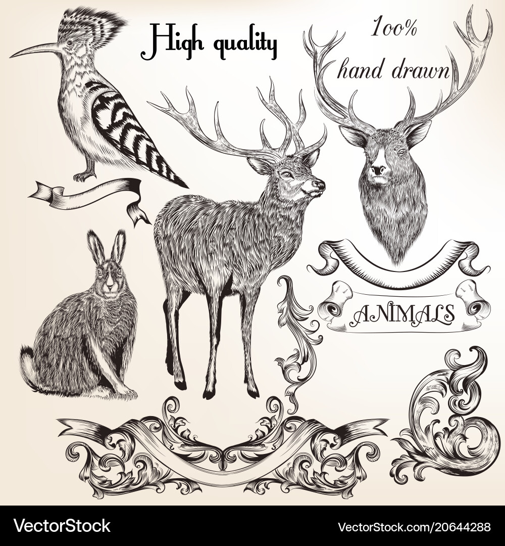 Engraved Animal Motif Set Royalty Free Vector Image