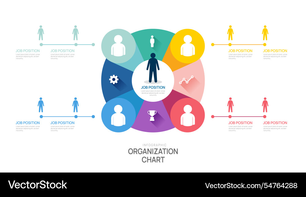 Organization chart infographic template Royalty Free Vector