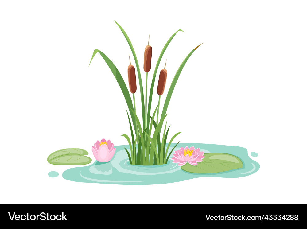 Pond with reeds and lotus design element Vector Image