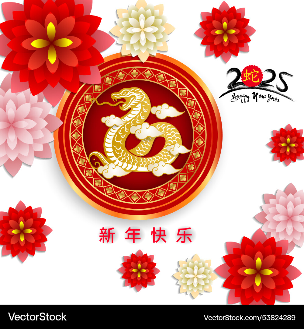 Happy chinese new year 2025 zodiac sign year of Vector Image