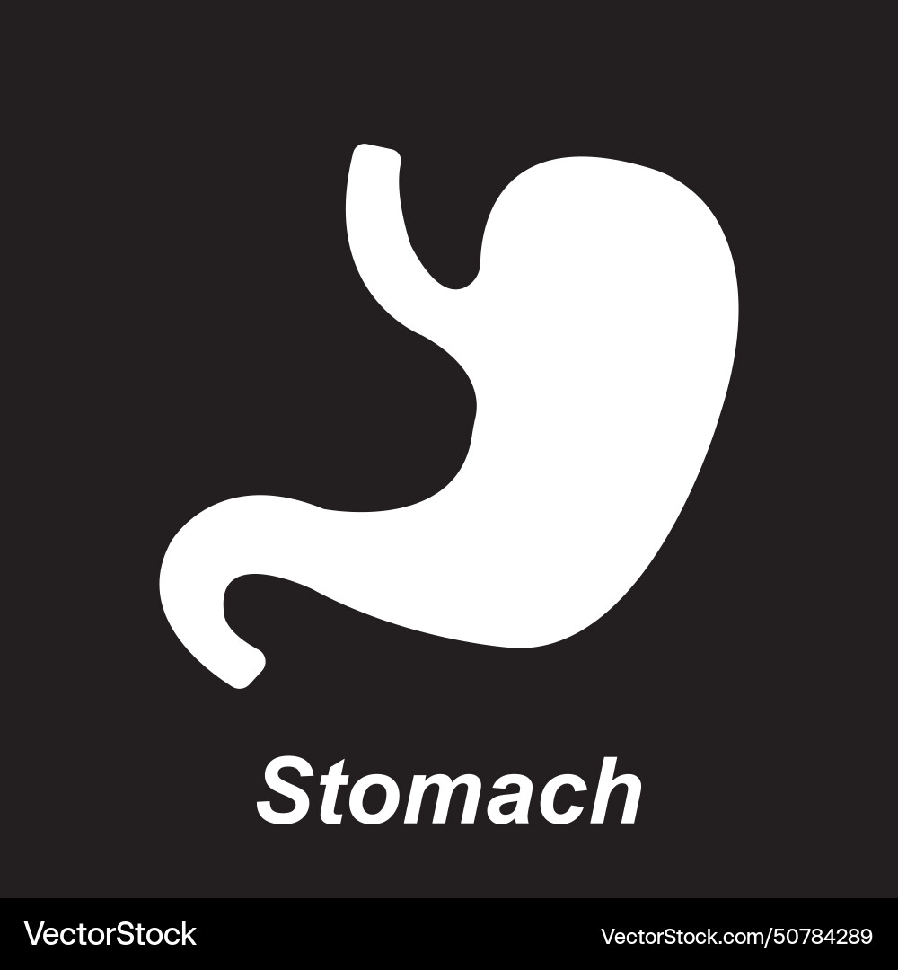 Stomach icon Royalty Free Vector Image - VectorStock