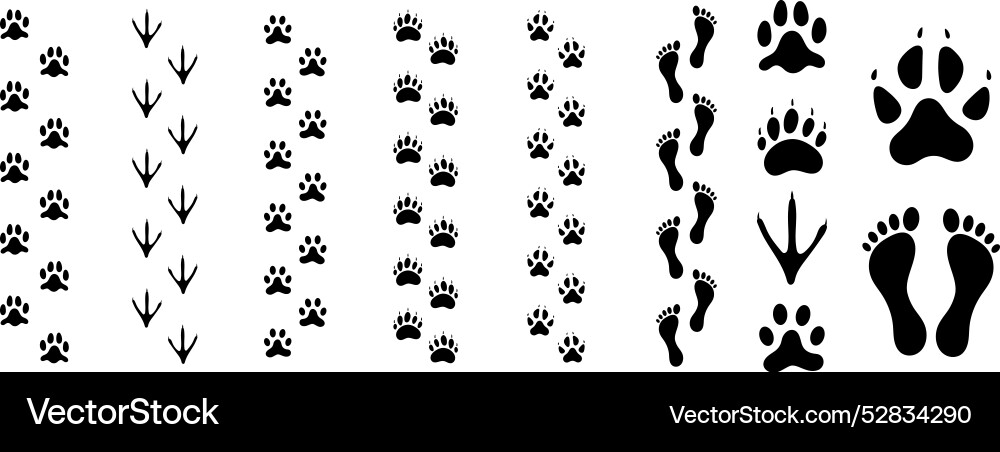 Foot prints icons Royalty Free Vector Image - VectorStock
