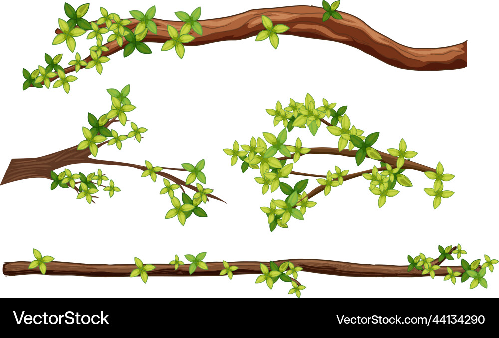 Set of different tree branches isolated Royalty Free Vector