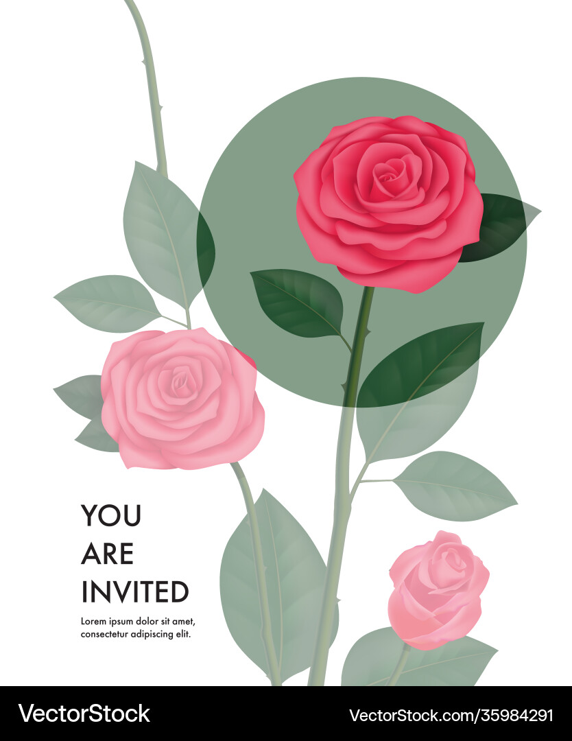 You are invited card template with transparent Vector Image