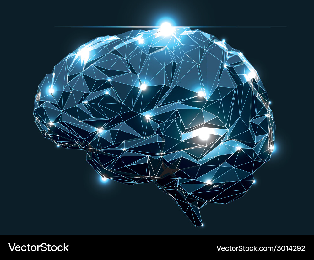 Human brain Royalty Free Vector Image - VectorStock