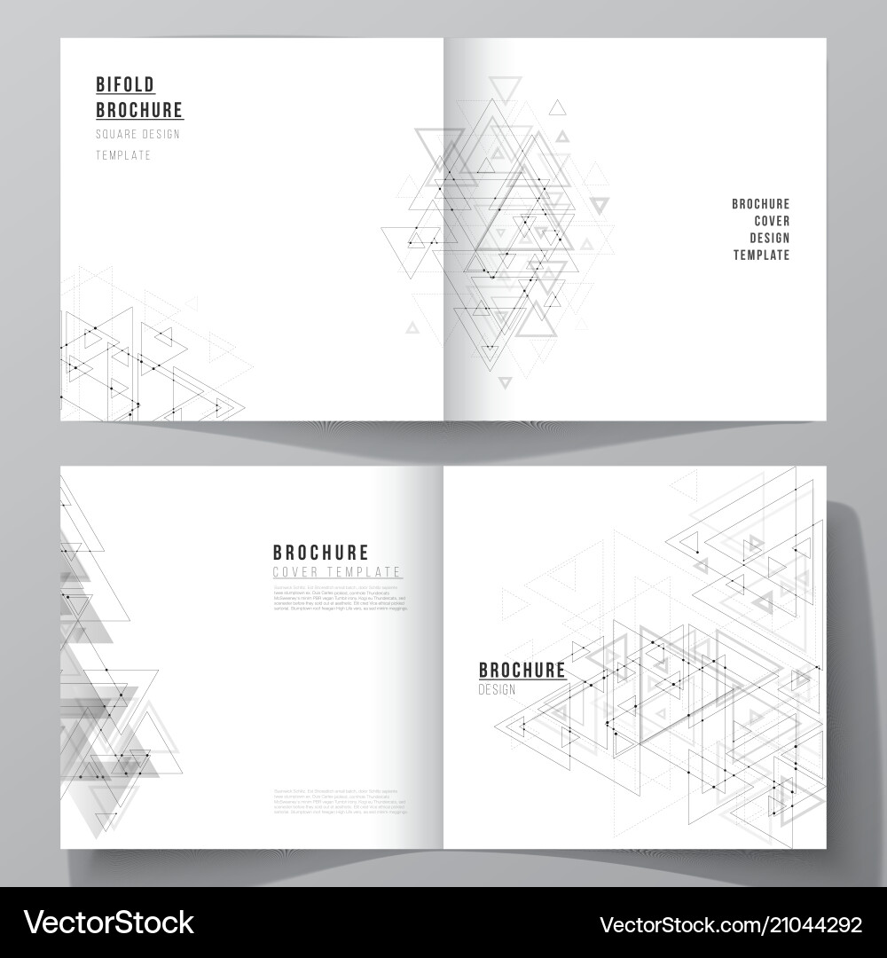 Layout of two covers Royalty Free Vector Image