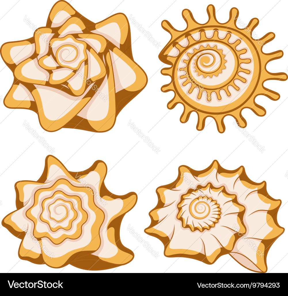 Set of color graphic sea shells Royalty Free Vector Image