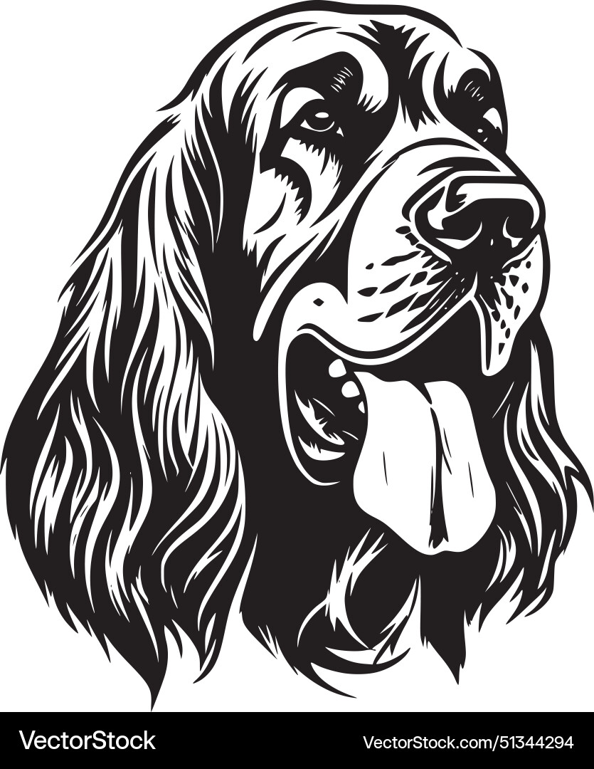 Bloodhound - black and white isolated icon Vector Image