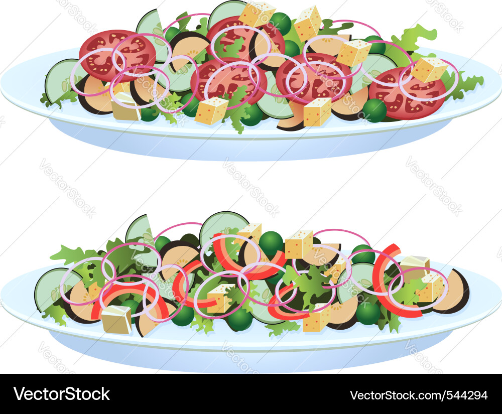 Vegetable salads Royalty Free Vector Image - VectorStock