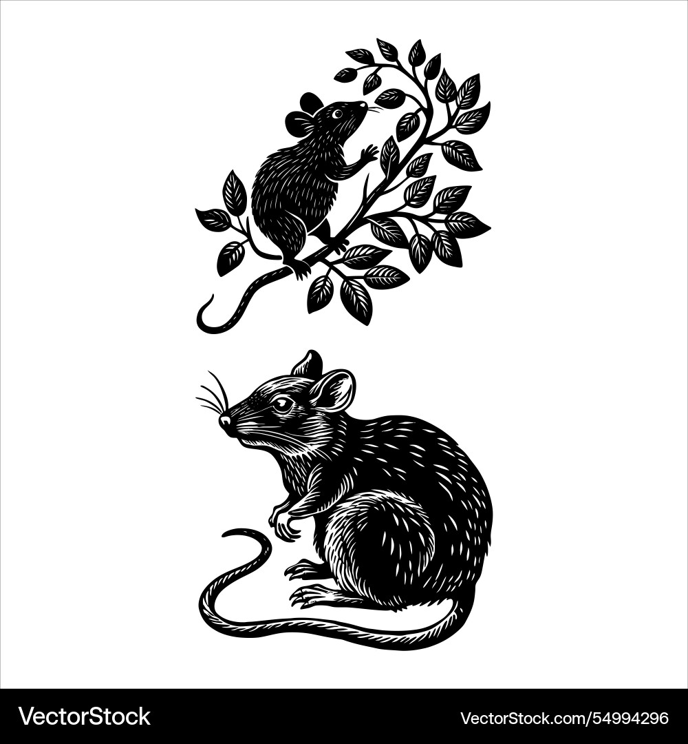 Mouse tail images Royalty Free Vector Image - VectorStock