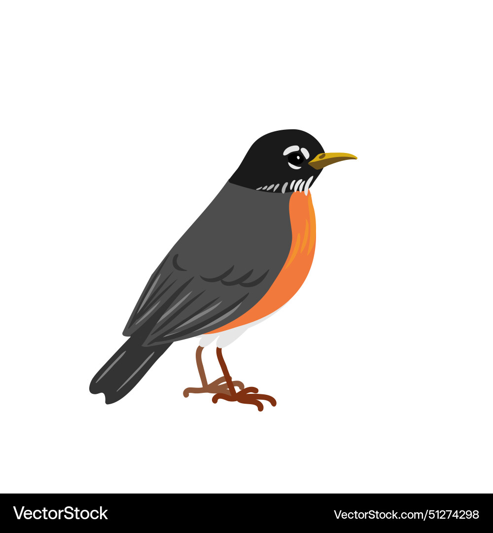 Drawing bird Royalty Free Vector Image - VectorStock