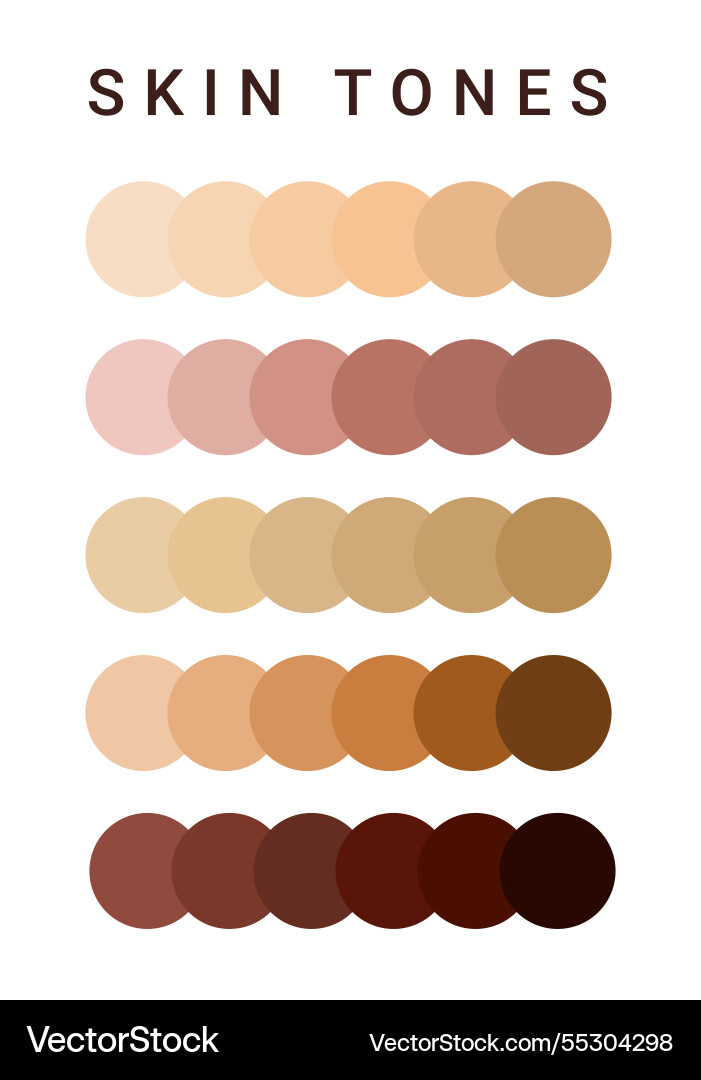 Skin tone color scale chart brown palette Vector Image
