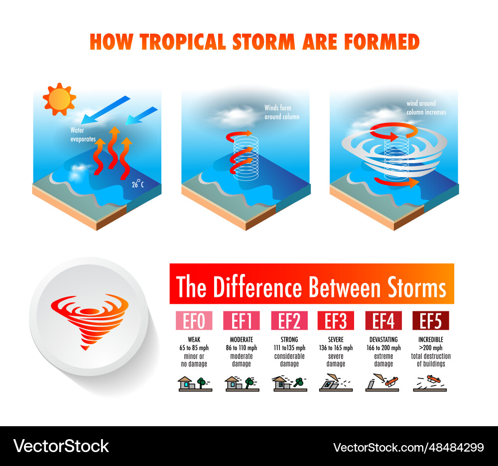 Tropical cyclones hurricane typhoon form i Vector Image