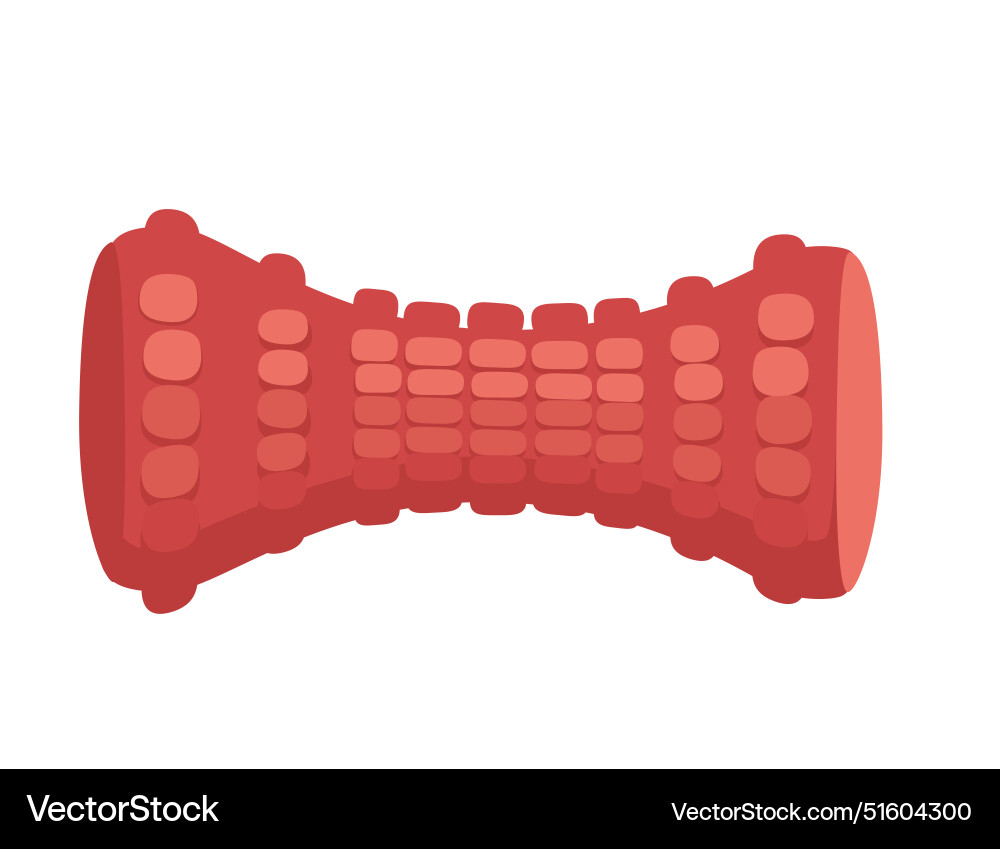 Red rubber dog teething toy isolated on white Vector Image