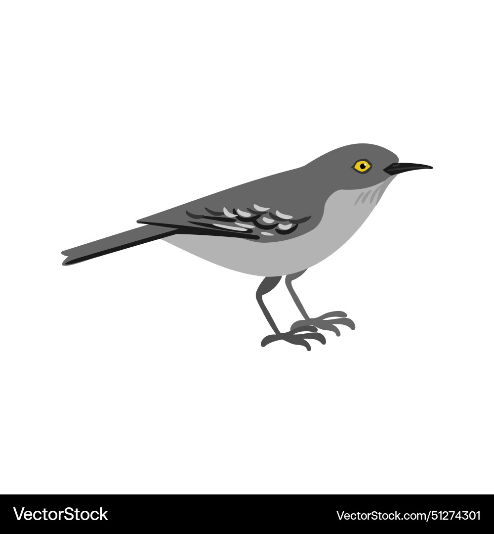 Drawing bird Royalty Free Vector Image - VectorStock