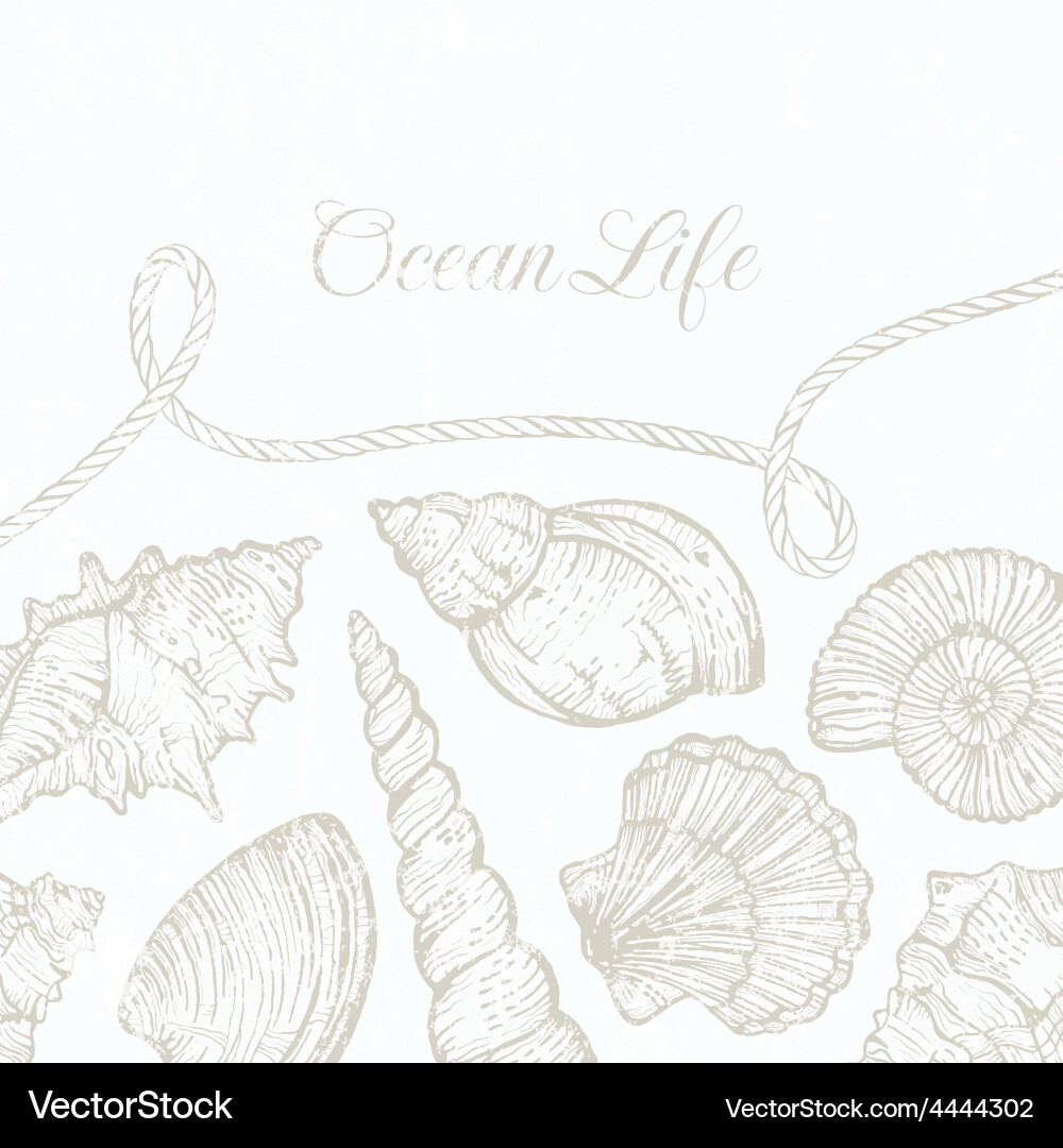 Background with hand-drawn sea shells Royalty Free Vector